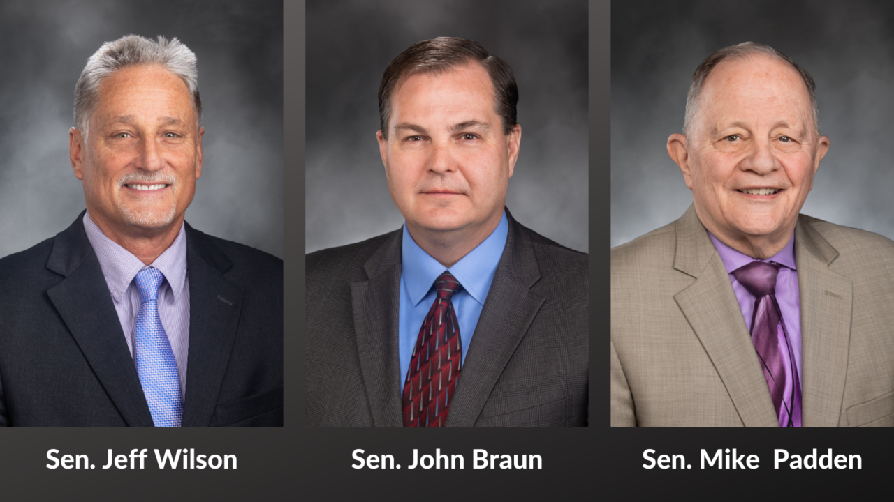 Legislature Must Protect Signature Gatherers From Harassment Senators