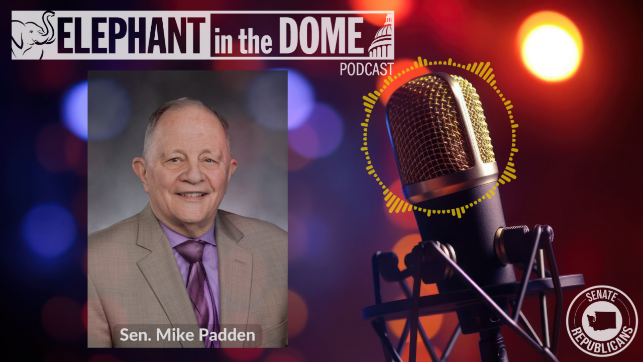 The Elephant in the Dome Podcast: Sen. Mike Padden on increase in fatal ...